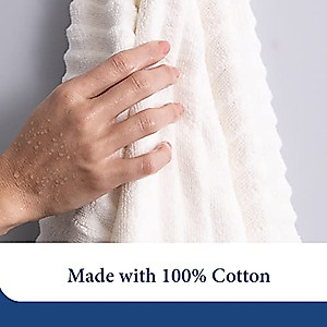 Cosy House Collection 2-Pack Classic Cotton Hand Towel Set - Ultra Soft, Absorbent & Quick Drying - Luxury 100% Cotton Plush Towel - for Bathroom, Shower & Kitchen (Hand Towel, White)