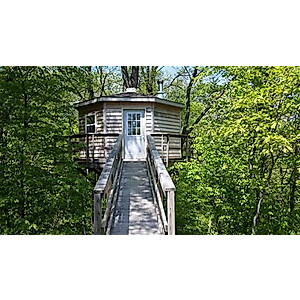 The Flathead © : 10' Octagonal Treehouse Plan