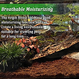BNOSDM Reptile Soil Substrate Fluffy Small-Strand Reptile Substrate and Snake Bedding Clean Natural Terrarium Bedding for Lizards Snakes Tortoises Tarantulas