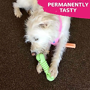 TastyBone Dental Bone Dog Chew Toy (One Size) (Cinnamon Mint)