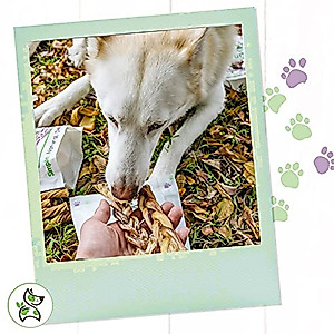 Nature Gnaws Braided Bully Sticks for Dogs - Premium Natural Beef Dental Bones - Long Lasting Dog Chew Treats for Aggressive Chewers - Rawhide Free 10 Count (Pack of 1)