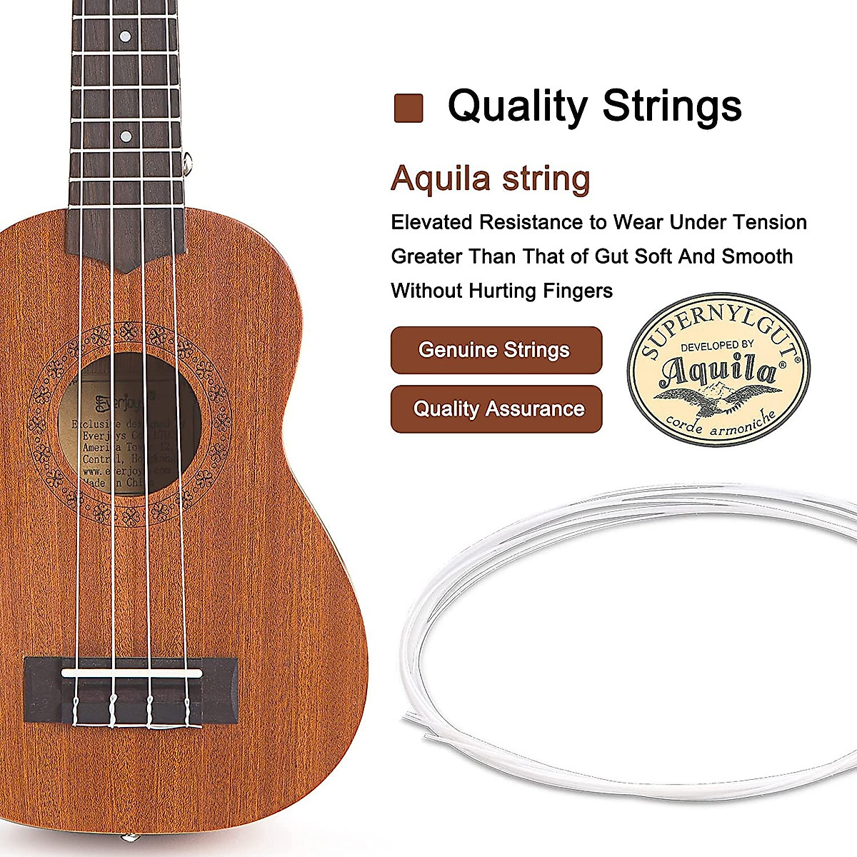 Everjoys Mahogany Soprano Ukulele Starter Kit - Professional 21 inch w/Case Strap Tuner Aquila Strings Pick (Natural Mahogany)
