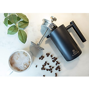 Brew Evolution 12 oz French Press | Stainless Steel Double-Walled Coffee Maker | Durable & Efficient Coffee & Tea Brewing | Gray Black