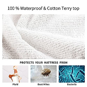Letech+ Waterproof Mattress Protector Fitted Style, King Size 100% Cotton Terry Smooth and Breathable Top, Mattress Cover - Noiseless Vinyl-Free Deep Pocket Machine Washable Protector
