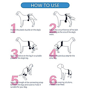 Adjustable Luxating Patella Brace for Dogs-Comfortable Knee Support for Joint Pain Relief,Suitable for Small,Medium,and Large Dogs（M）