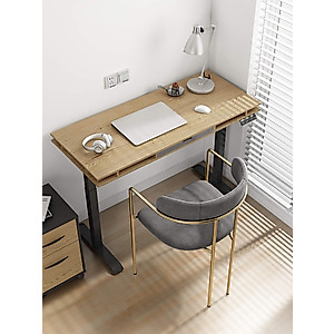Height Adjustable Standing Desk Table with Drawer, Smart Desk Dual Motor Electric Standing Deak 55 x 24 inches Whole-Piece Desk Board Memory Controller Stand Up Desk for Home Office, Light Brown