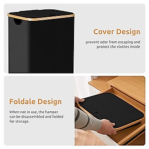 Large Laundry Hamper with Lid by Fiona's magic, 100L Tall Laundry Basket with Handle, Storage Basket for Clothes and Toy, Collapsible Laundry Hamper with Removable Bag for Bedroom, Bathroom, Black