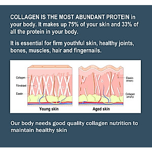 USANUTRA Collagen Peptide Protein Pills for Women and Men Type I, II, III, V, X Multi Collagen 180 Capsules Non-GMO with Bovine and Marine Collagen