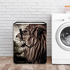 Lion Background Laundry Basket Collapsible Storage bin with Handles for Hamper,Kids Room,Toy Storage