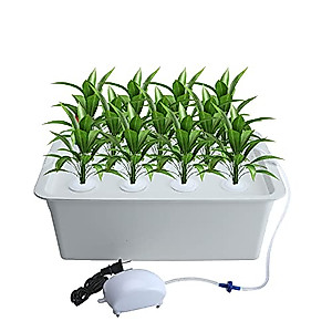 Xeternity-Made Indoor Hydroponic Grow Kit with Bubble Stone, 11 Sites (Holes) Bucket, Air Pump, Sponges - Best Indoor Herb Garden