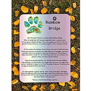 A.B.C. Pet Memorial Bracelet-Loss of Pet Gifts with Rainbow Bridge Card in Loving Memory of Your Beloved Dog Cat- Pet Loss Jewelry
