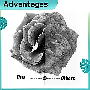 NEZIH for Konica Minolta TN323 Toner Cartridge High Yield Compatible for BH227 287 367 7528 7536 7522 Printer Black 2 Pack