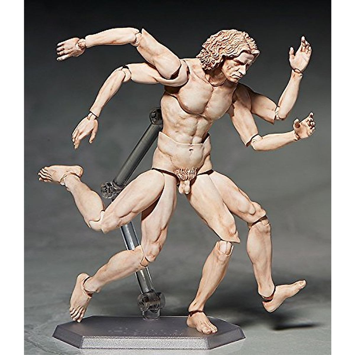 FREEing Table Museum The Vitruvian Man Figma Action Figure