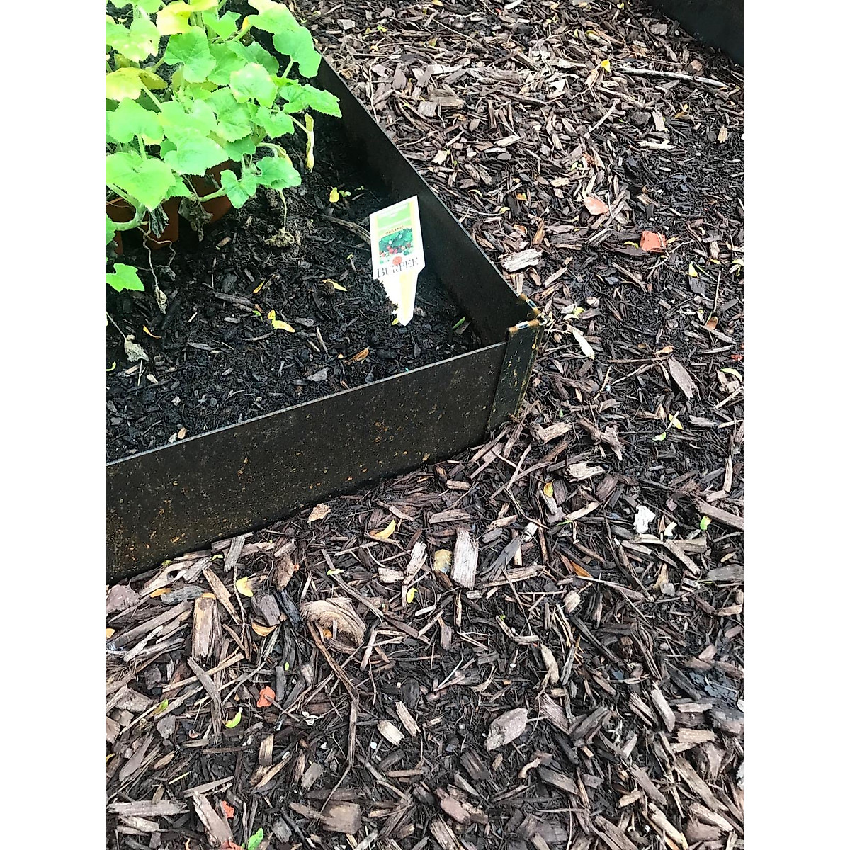 Benmachu 4 Pack 90°Connector Clips, 10" Corner Clips Height Cor-Ten Metal Stakes for 6 & 8 inch Tall Steel Landscape Edging,Black