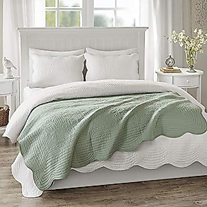 Madison Park Madison Park Luxe Quilted Throw Blanket - Damask Stitching Design, Cotton Filled Spread, Ultra Soft, Cozy Bedding for Living Room Couch, Sofa, Bed, 60x72", Scalloped Borders Seafoam
