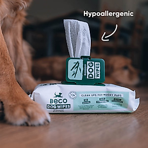 Beco Bamboo Dog Wipes, Thick Grooming Wipes for Easy Pet Cleanup, Home Compostable, 80 Count (Unscented)