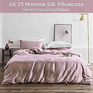 Veaken Silk Pillowcase for Hair and Skin, 2 Pack 100% Mulberry Silk Pillowcase 25 Momme, 600 Thread Count, Both Side Pure Silk Pillow Cover with Hidden Zipper (ApricotGray, Queen 20''×30'')