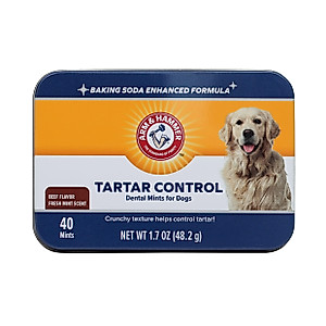 Arm & Hammer for Pets Tartar Control Dental Mints for Dogs Dog Dental Mints Reduce Plaque & Tartar Buildup for All Dogs Beef Flavor (Pack of 2)