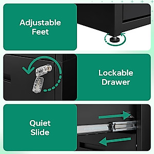 Letaya 2 Drawer Lateral File Cabinets with Lock,Metal Printer Stand Filing Organization Cabinets for Home Office,Hanging Files Letter/Legal/F4/A4 Size (Black)