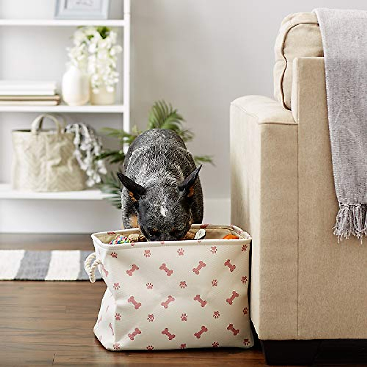 Bone Dry Pet Storage Collection Paw and Bone Print, Small Rectangle, Rose