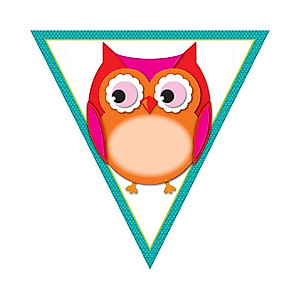 Carson Dellosa Banner, Colorful Owls (102038)