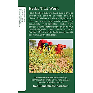 Traditional Medicinals Organic Dandelion Leaf & Root Herbal Tea, Supports Kidney Function & Healthy Digestion, (Pack of 3) - 48 Tea Bags Total