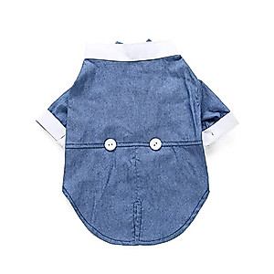 Dog Blue Tuxedo, Dog Formal Clothes, Puppy Wedding Tux, Small Dog Suit and Tie, Business Suit for Dog Blue Large