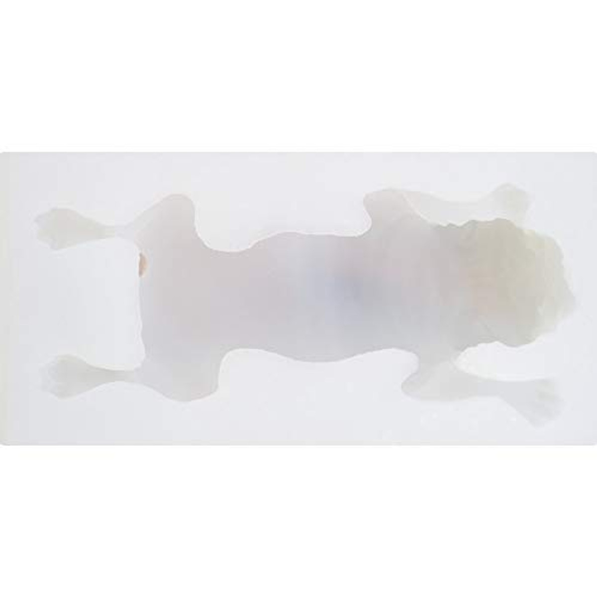 AK ART KITCHENWARE Pug Dog 3D Silicone Cake Mold Mousse Mould Fondant Tools Cake Decorating Tools Dessert Sweet SM-1172