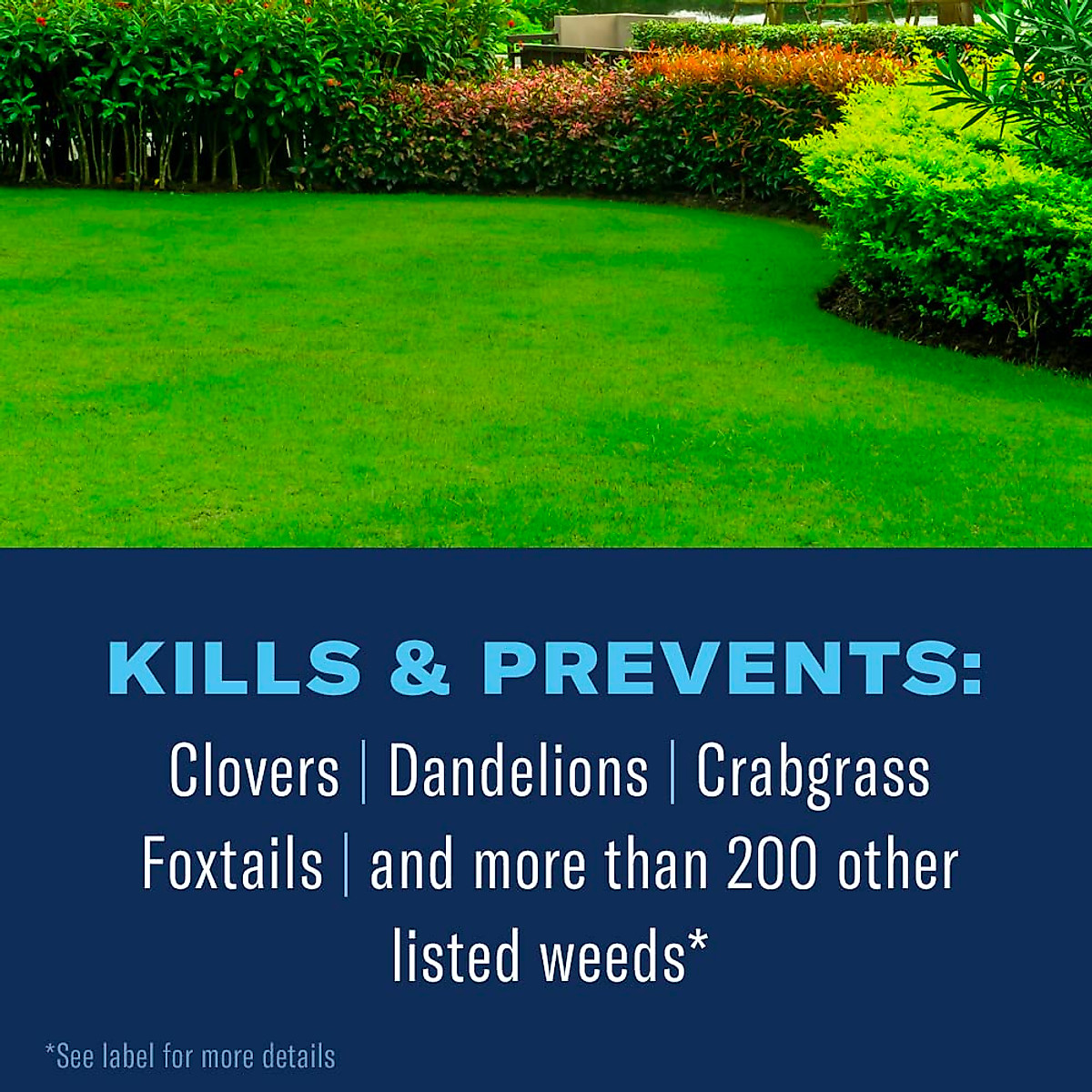 BioAdvanced Season Long Weed Killer Plus Preventer for Norther Lawns, Granules, 9.6 LB