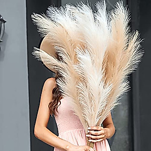 PERFIQUE Faux Pampas Grass, 43'' Artificial Flowers, Set of 3 Stems Pampas Grass Decor Tall, Pompas, Vase Fillers for Floor Vase, Rustic Minimalist Farmhouse Room Decor, Boho Wedding Decor (Beige)