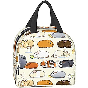 Xuhua Guinea Pig Parade Lunch Bag Boxes Tote Insulated Reusable,Lunch Bag Lunchbox Durable Waterproof Zipper Hangbag Portable for Boys Girls School Supplies