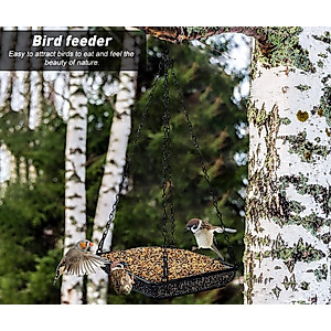 MIXXIDEA Hanging Bird Feeder Tray Metal Mesh Platform Seed Feeder with Durable Chains for Outdoors Garden Great for Attracting Birds (1 Pack)