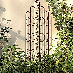 Amagabeli 2 Pack Large Garden Trellis 71” x 21” Heavy Duty Rustproof Brown Iron Plant Trellis for Potted Plant Support Tall Wall Metal Trellis for Rose Vine Vegetable Cucumber