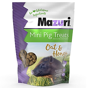 Mazuri® Mini Pig Treats – Oat & Honey, 6 lb.