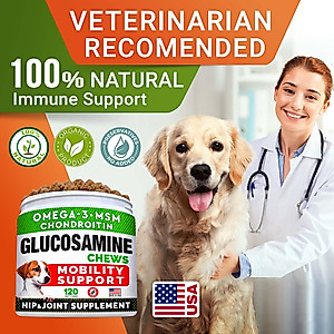 STRELLALAB Glucosamine Treats for Dogs - Joint Supplement w/Omega-3 Fish Oil - Chondroitin, MSM - Advanced Mobility Chews - Joint Pain Relief - Hip & Joint Care - Bacon Flavor - 240 Ct - Made in USA