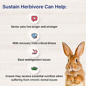 EMERAID Sustain Herbivore Mint Recovery Food for Herbivores 400 g