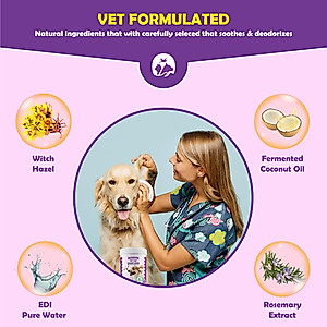 Flintstone Dog Ear Cleaner Finger Wipes – Ultra Big Dog Ear Wipes Gently Clean Ear Wax, Dirt - Ear Wipes for Dogs & Cats Soothes Ear Itching - Mild Coconut Scent - 60 Count