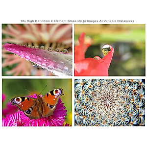 Canon EOS Rebel XT 10x High Definition 2 Element Close-Up (Macro) Lens (58mm)