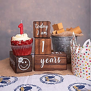 MAINEVENT Farmhouse Baby Monthly Milestone Blocks, Age Blocks for Baby Milestone, Baby Gifts for Baby Shower, Newborn Photography, Baby Photo Props, Month Milestone Blocks