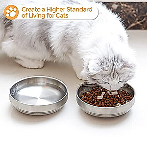 MSBC Food Grade 304 Stainless Steel Cat Bowls, Shallow and Wide Metal Cat Food and Water Feeder Set, Durable Pet Feeding Dishes for Cat, Kitten, Puppy, Whisker Stress Free, Dishwasher Safe, Set of 2