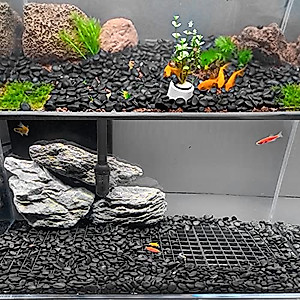 Black River Rocks for Plants 5.5 LB Small Decorative Pebbles 1"-1.5" Polished Stones Smooth Aquarium Gravel for Fish Tank Vases Indoor Planters Outdoor Landscaping Garden (88oz)