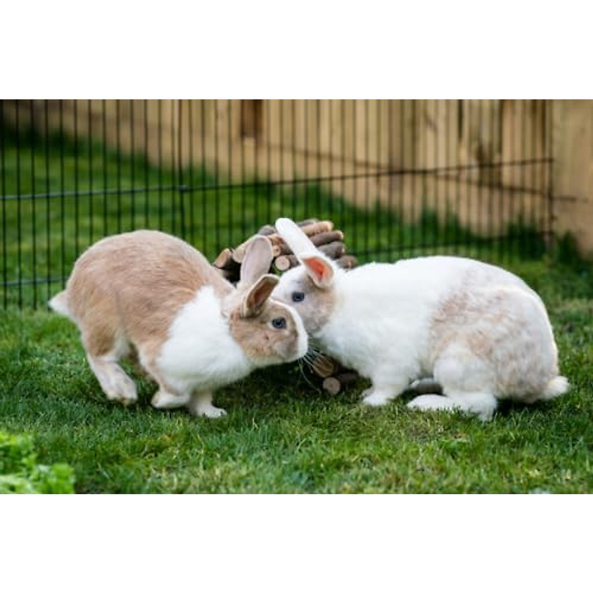 New Country Organics | Rabbit Pellets | Corn-Free and Soy-Free | 15% Protein | Certified Organic and Non-GMO | 40 lbs