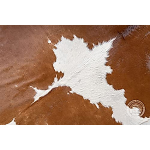Genuine Brown and White Cowhide Rug XL 6 x 7-8 ft. 180 x 240 cm