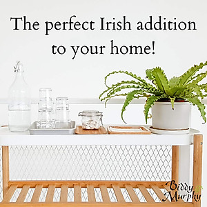 Wild Goose Irish Guardian Angel of Home & Family Plaque