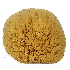 Natural Sea Sponge 6-7" by Spa Destinations "Creating The At-Home Spa Experience"