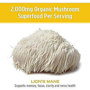 Om Mushroom Superfood Lion's Mane Mushroom Capsules Superfood Supplement, 90 Count, 30 Day Supply, Fruit Body and Mycelium Nootropic for Memory, Focus, Nerve Health and Immune Support