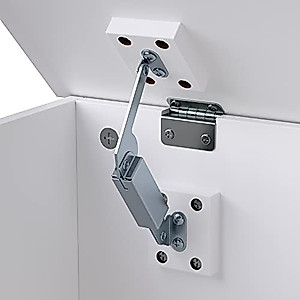 ZENY Lift Top Storage Cabinet Bench, Wooden Toy Chest Toddler Room Organizer Bin with 2 Safety Hinges (White)