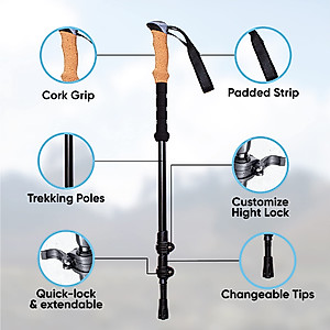 Nordic Walking Stick Adjustable Locks Expandable to 54" Lightweight Trekking Hiking Poles 10 Replacement Tips