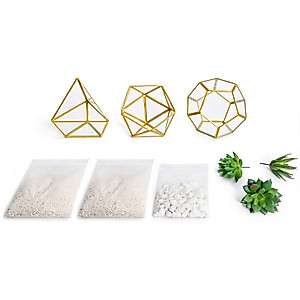 Mkono Artificial Succulent in 3 Pack Mini Glass Geometric Terrarium, Miniature Potted Faux Plant Bookshelf Desk Boho Office Room Decor for Women Girls Dorm Gift Idea, Gold