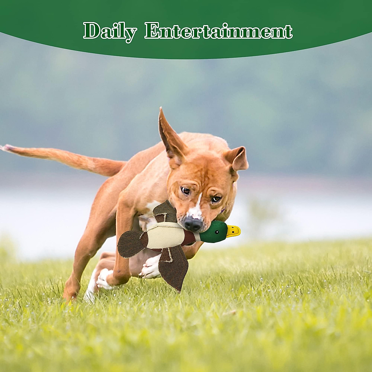 IOKHEIRA Squeaky Dog Toy for Large Breed, Plush with Crinkle Paper, Tug of War for Puppy, Small, Middle Dogs (Brown, Mallard)